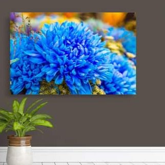 CUADROS DE FLORES – Decoraciones Alco